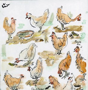 Chickens in Valence – Imogen Foxell